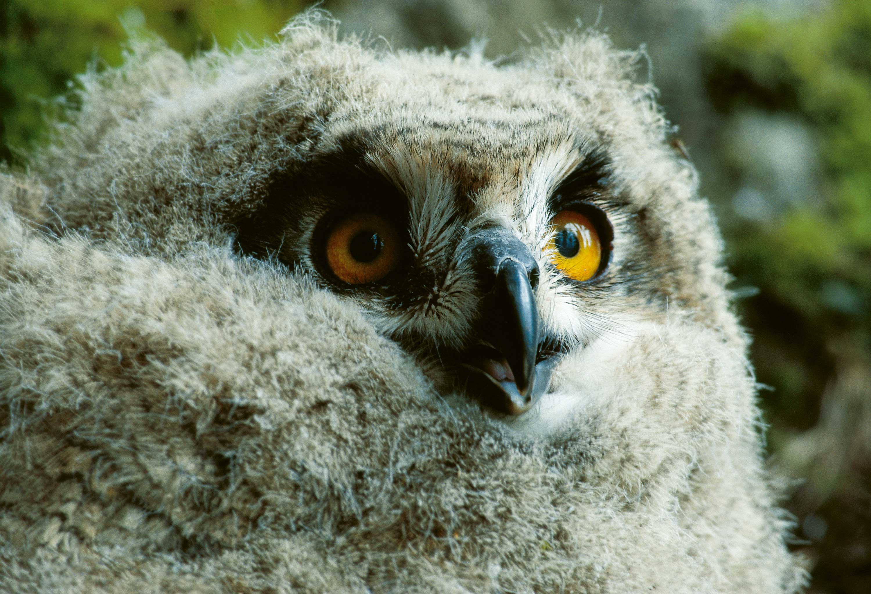 UPM Paper | UPM Paper