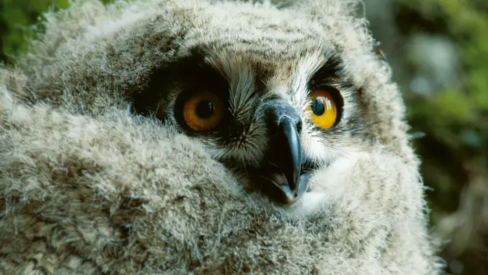 UPM Paper | UPM Paper